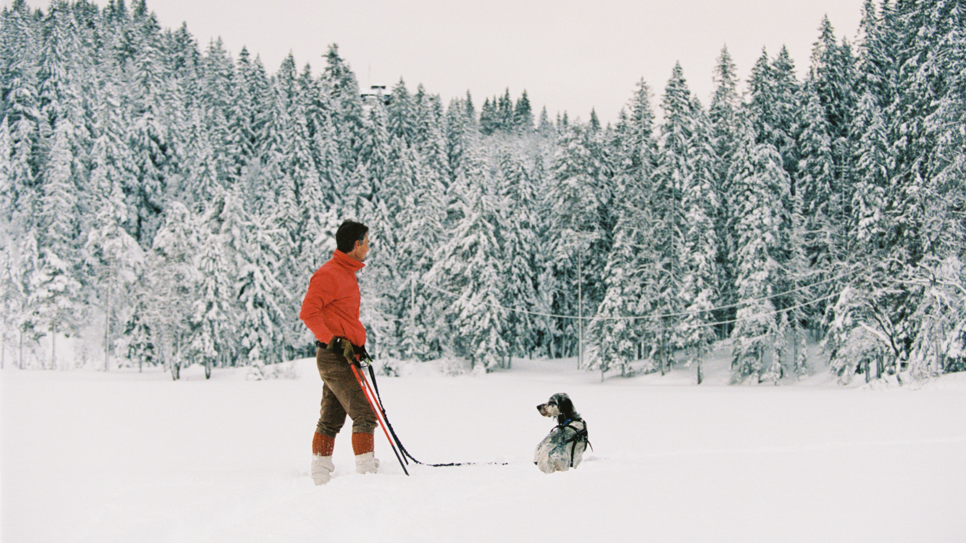 Boxing Day Sale '25 - Men's Collection – Page 5 – Futureproof.life