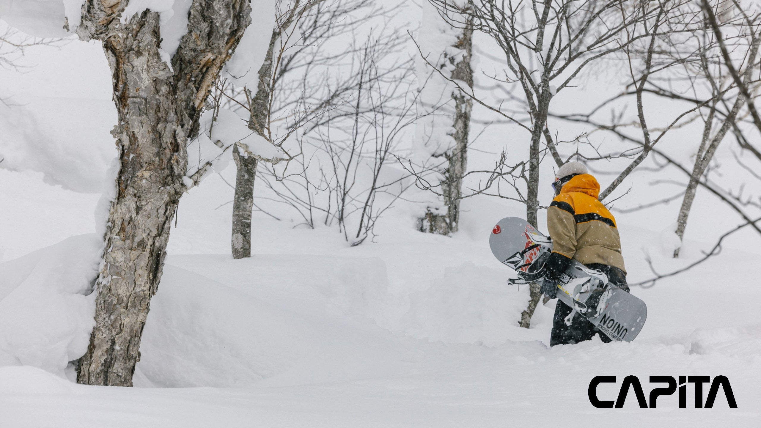 Brand: CAPiTA – Futureproof.life